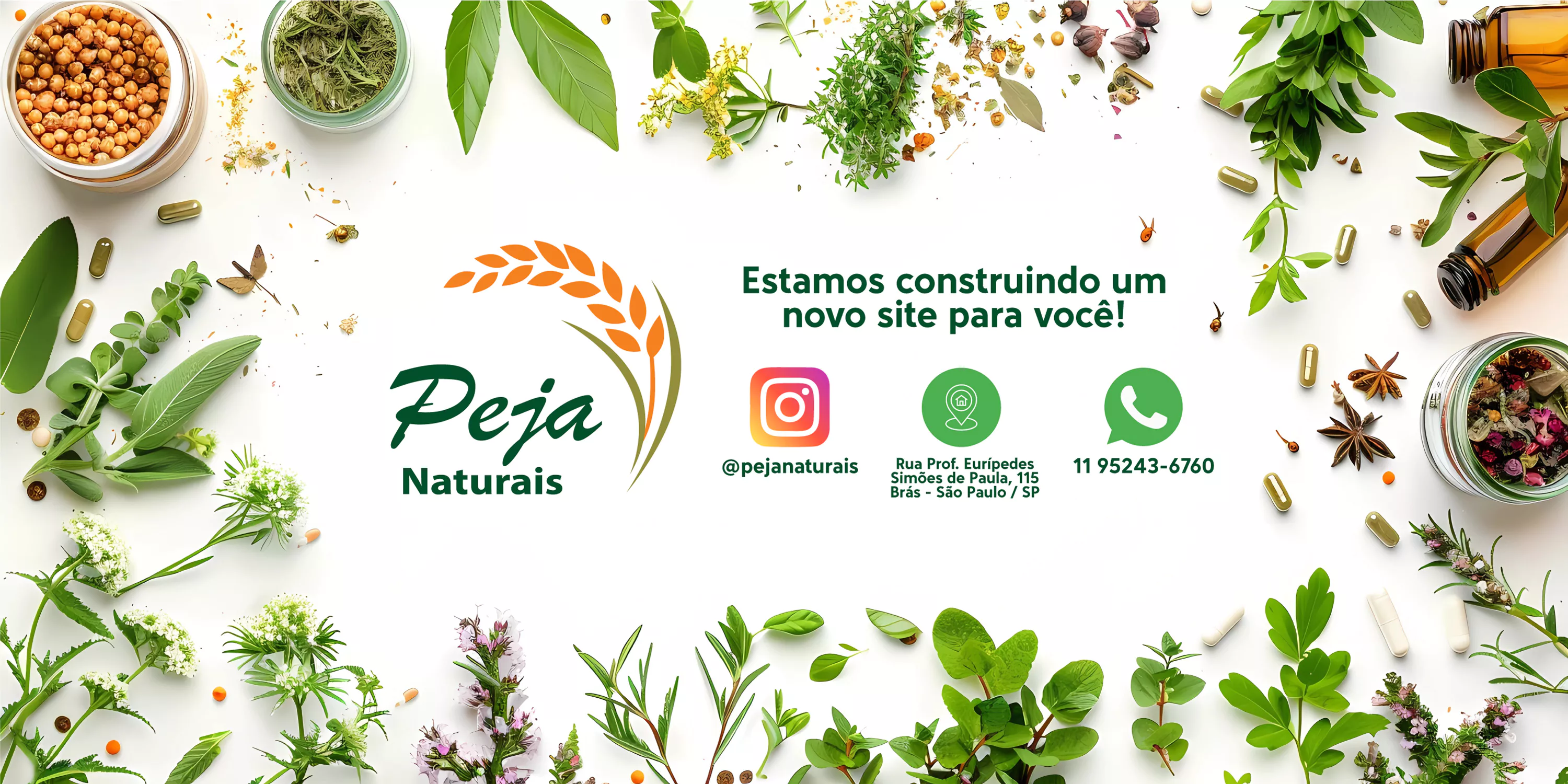 Peja Naturais | Produtos Saudáveis, Temperos, Grãos, Chás e Especiarias ...